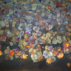 Christophe Barué, prix du jury du concours La preuve par l’image ...